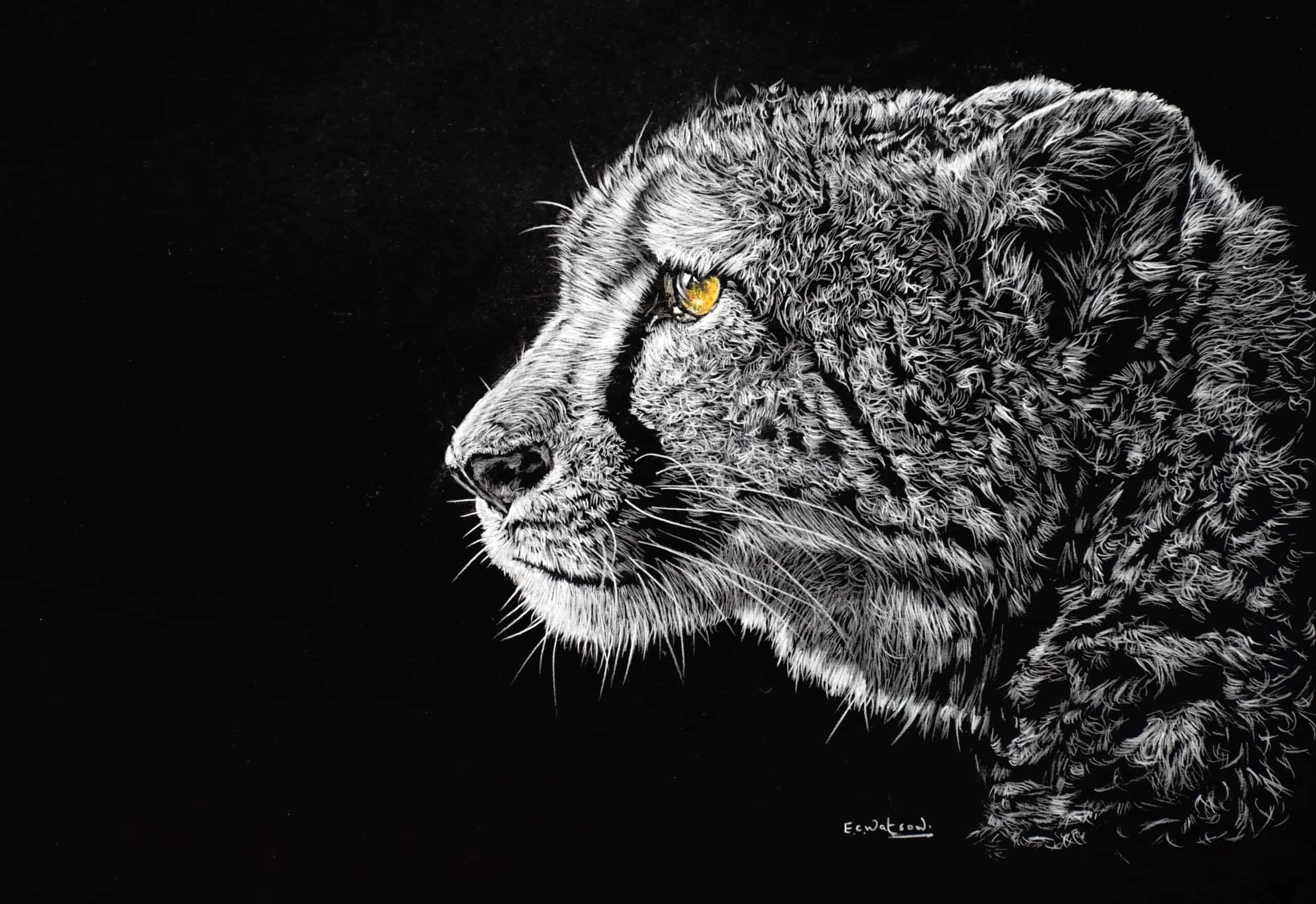 'Endangered - Hopefull' - Creative Arts